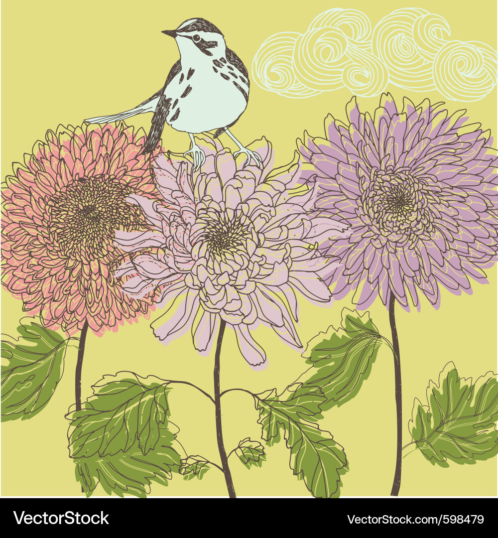 Bird collage background Royalty Free Vector Image