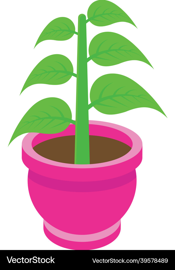 Pot plant Royalty Free Vector Image - VectorStock