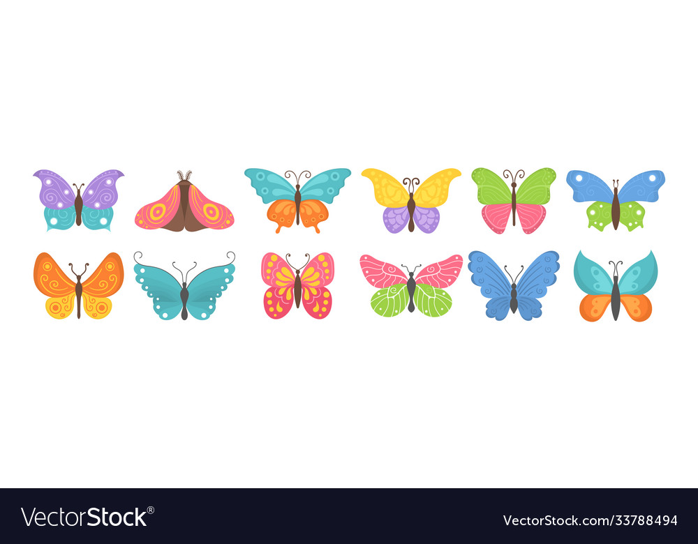 Summer insects butterfly Royalty Free Vector Image