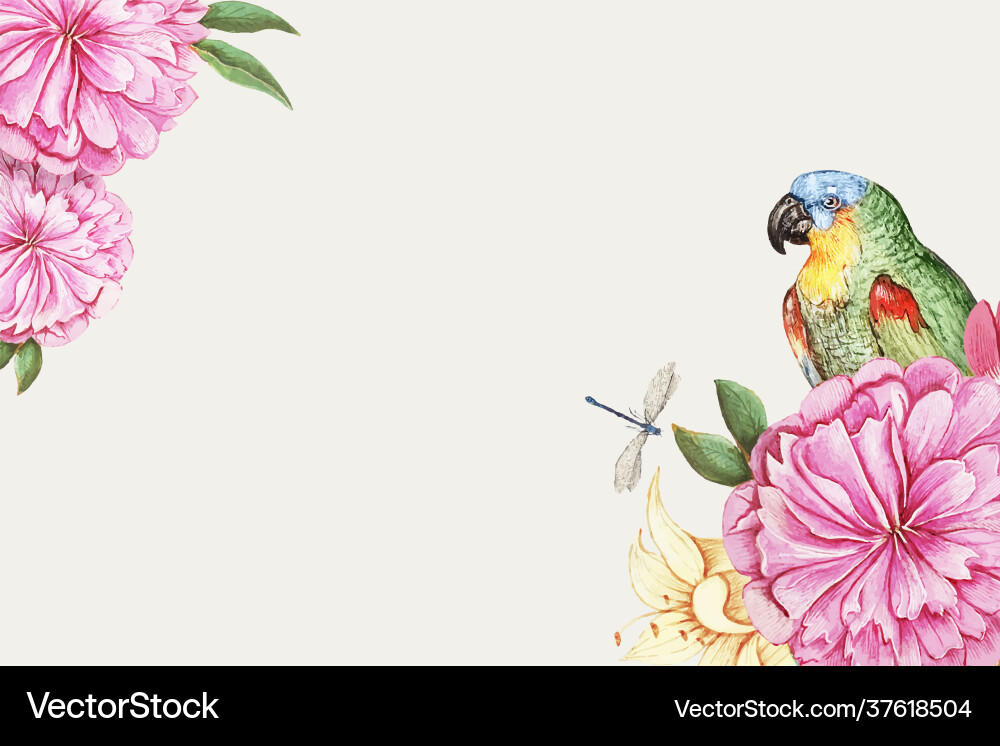 Parrots border Royalty Free Vector Image - VectorStock