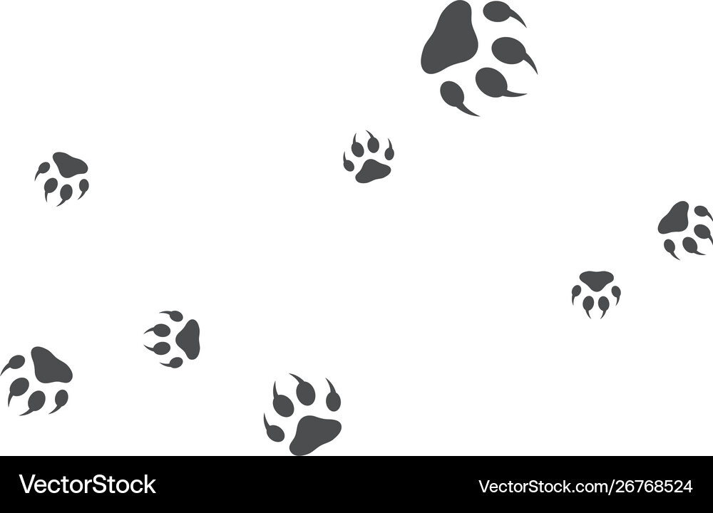 Paw background template Royalty Free Vector Image