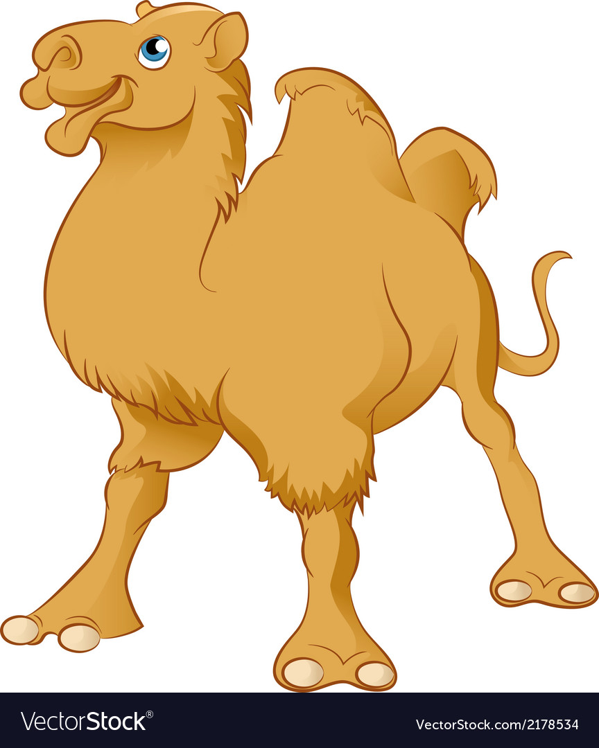 Camel Royalty Free Vector Image - VectorStock