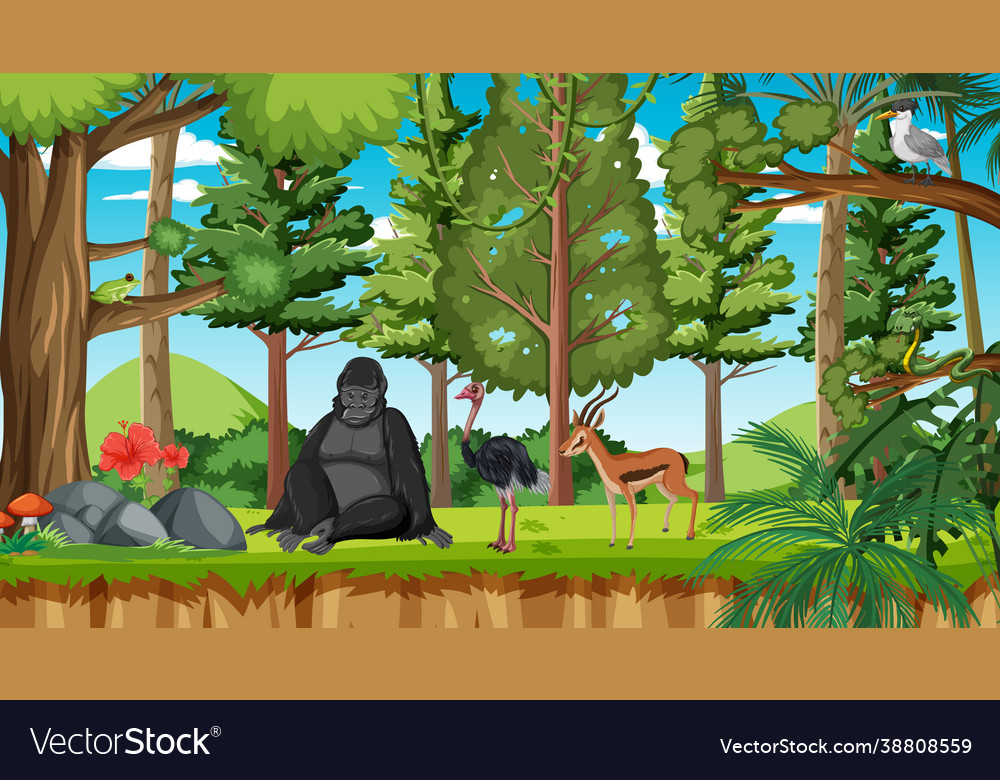 Forest scene with different wild animals Vector Image