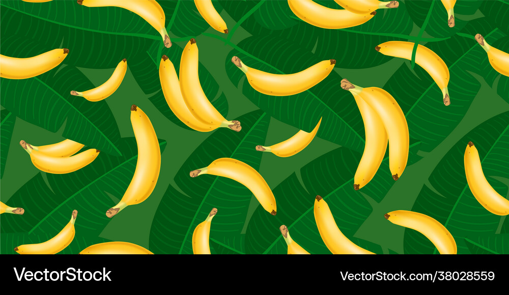 Trendy seamless pattern with realistic banana Vector Image