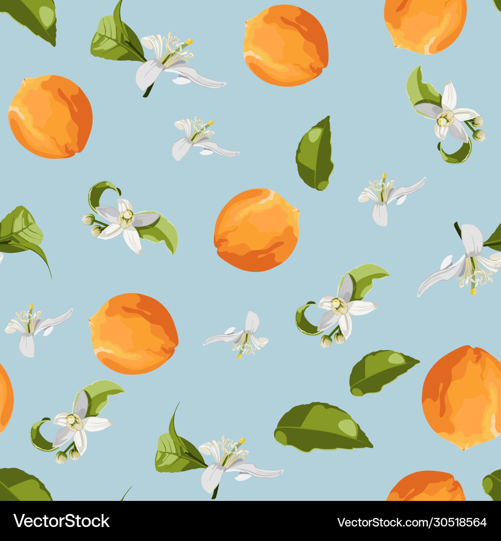 Citrus seamless pattern with orange fruit leaves Vector Image