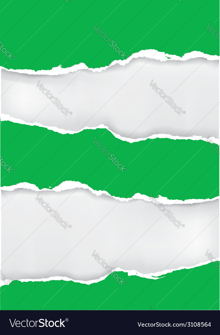 Green torn paper Royalty Free Vector Image - VectorStock