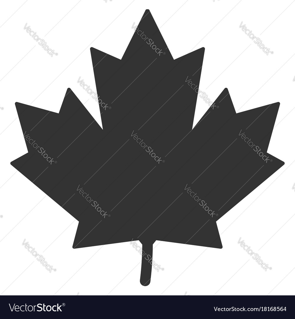 Maple leaf flat icon Royalty Free Vector Image
