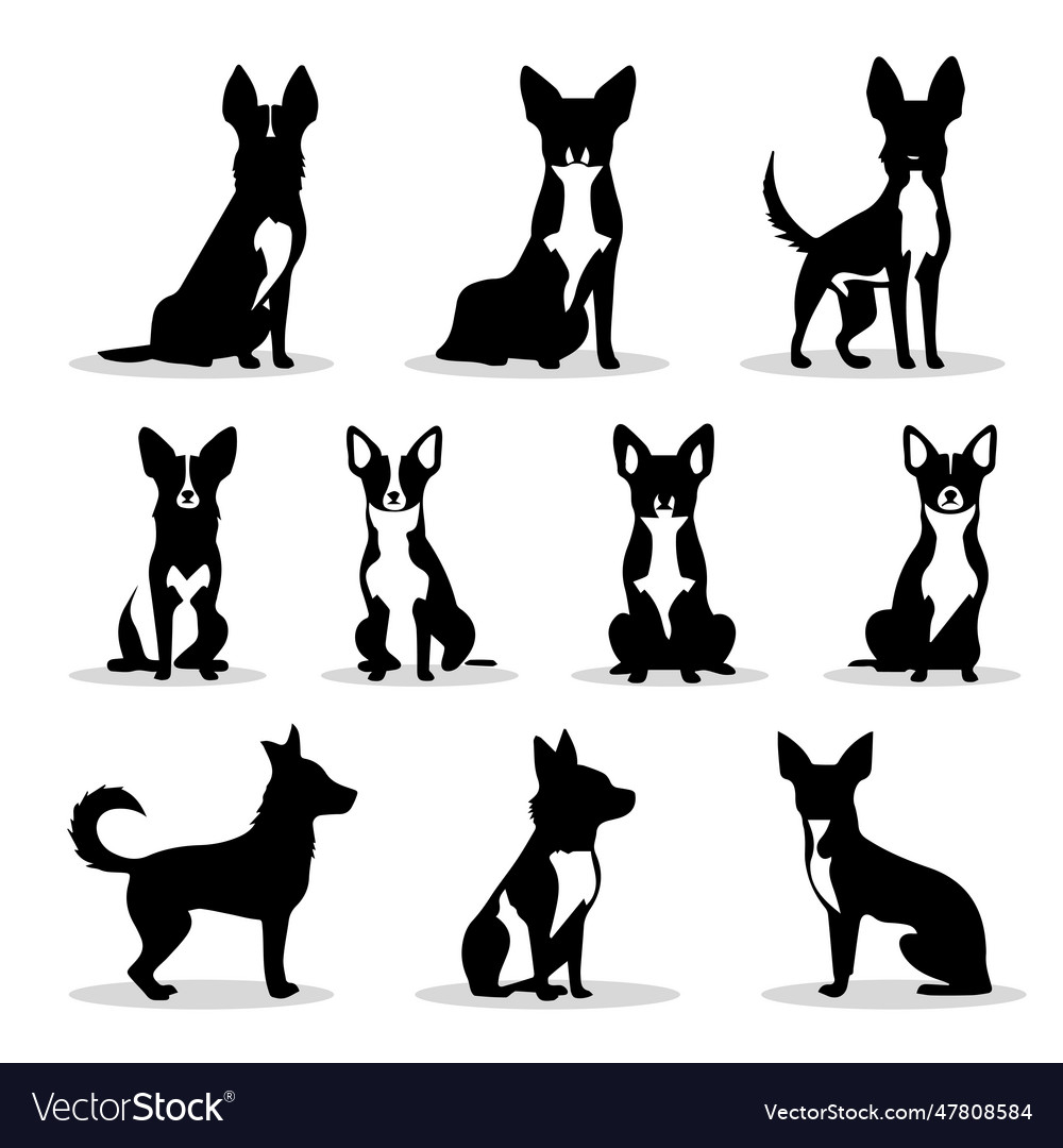 Chihuahua small dog icons and silhouettes set of Vector Image