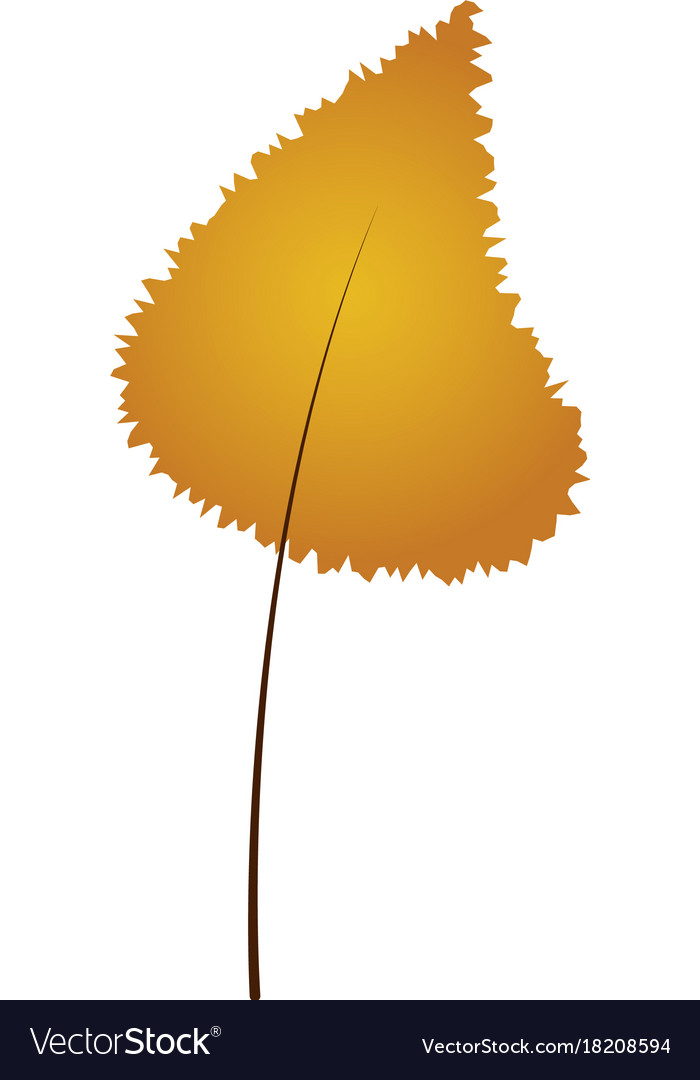 Isolated fall leaf Royalty Free Vector Image - VectorStock