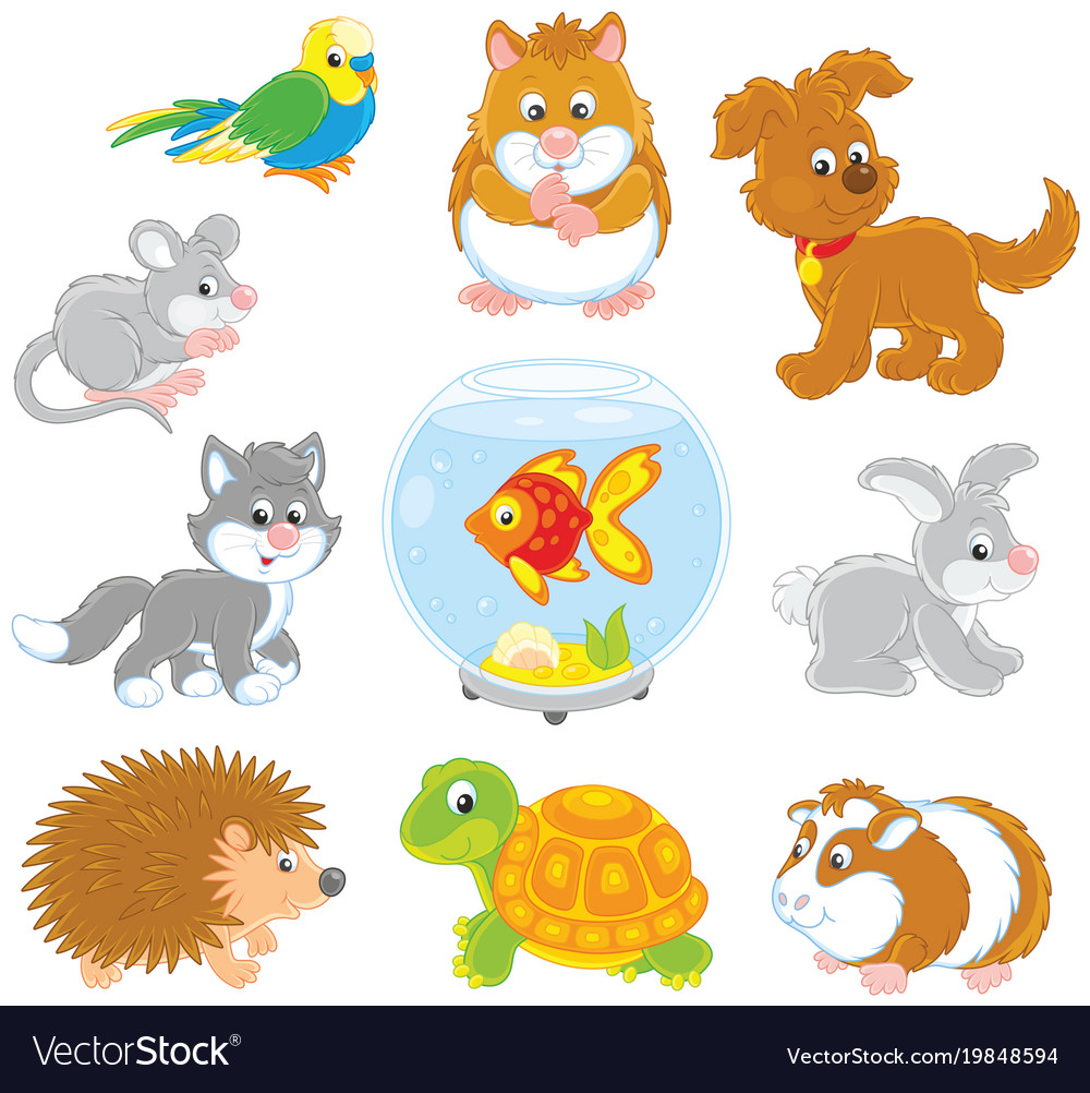 Set pets Royalty Free Vector Image - VectorStock