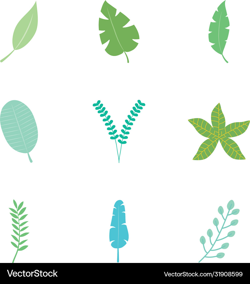 Icon set tropical leaves and exoctic Royalty Free Vector