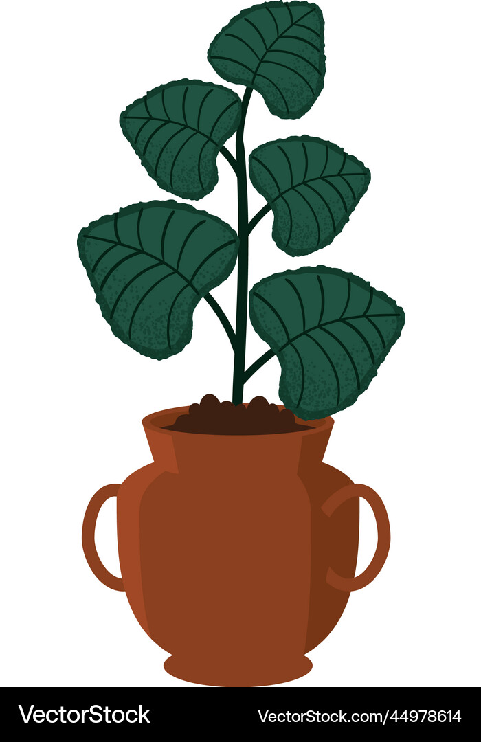 Houseplant in clay pot Royalty Free Vector Image