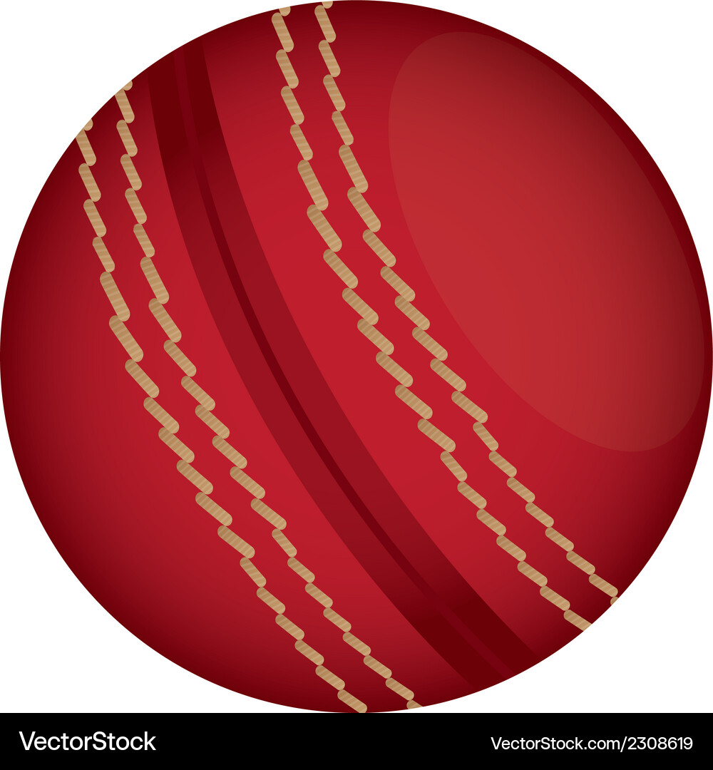 Cricket ball Royalty Free Vector Image - VectorStock