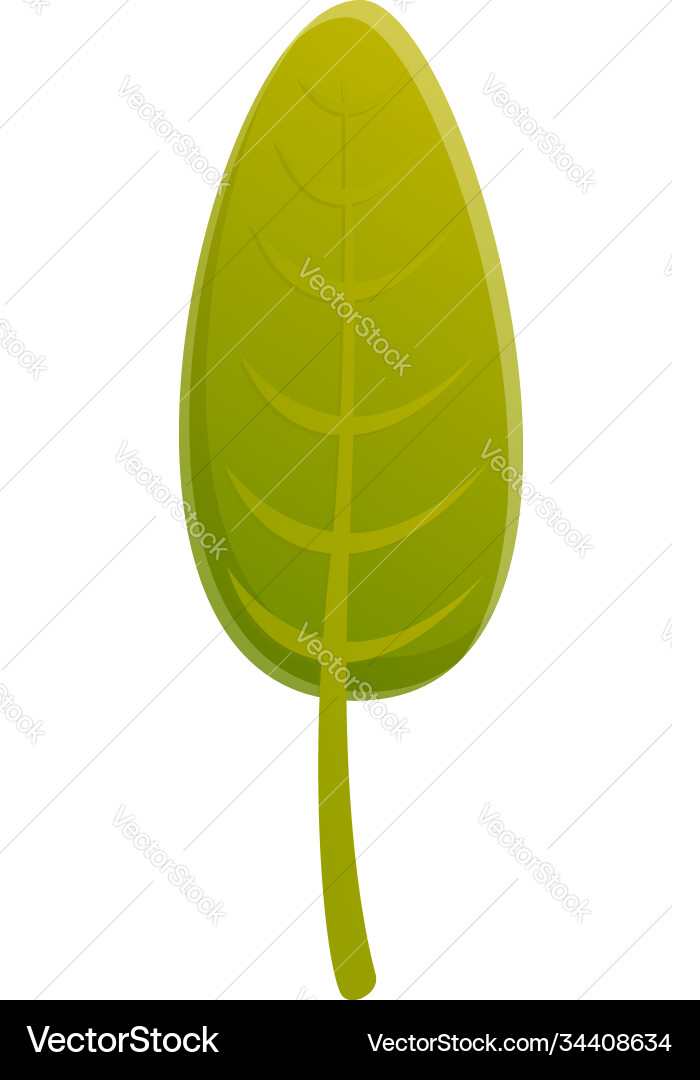 Elm green leaf icon cartoon style Royalty Free Vector Image