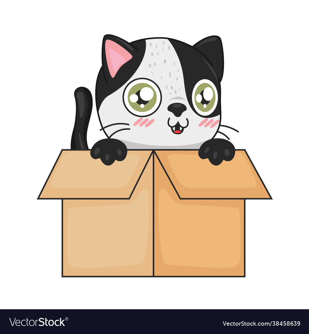 Cat inside box Royalty Free Vector Image - VectorStock