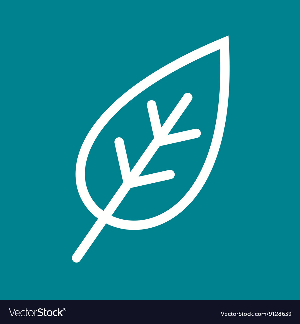 Leaf Royalty Free Vector Image - VectorStock