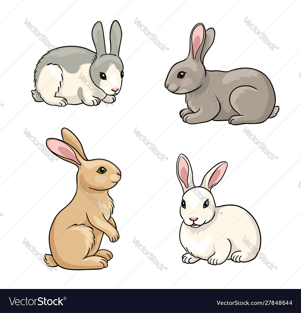 Set rabbits Royalty Free Vector Image - VectorStock