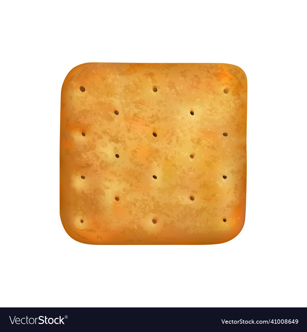 Realistic cracker Royalty Free Vector Image - VectorStock