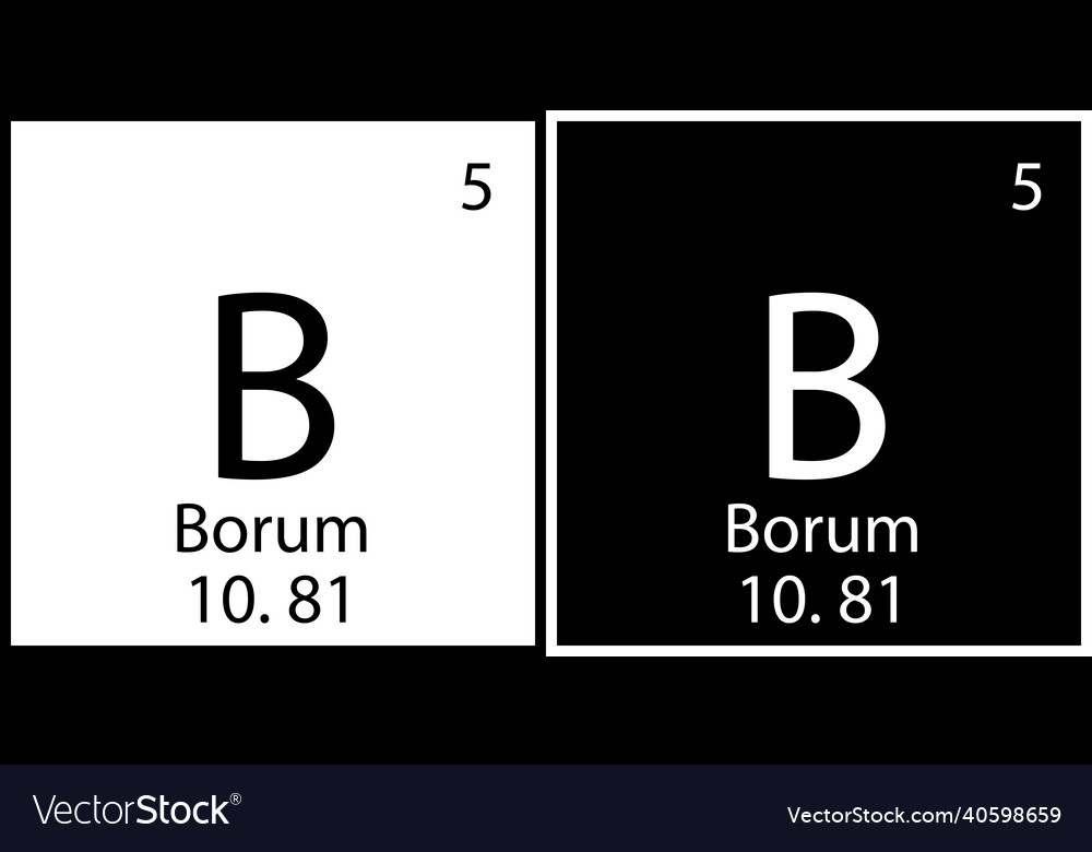 Borum chemical symbol education process black Vector Image