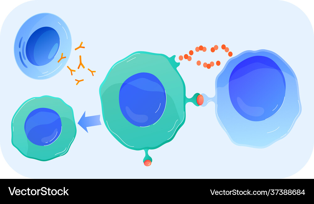 Science for study dna human cell in cut under Vector Image
