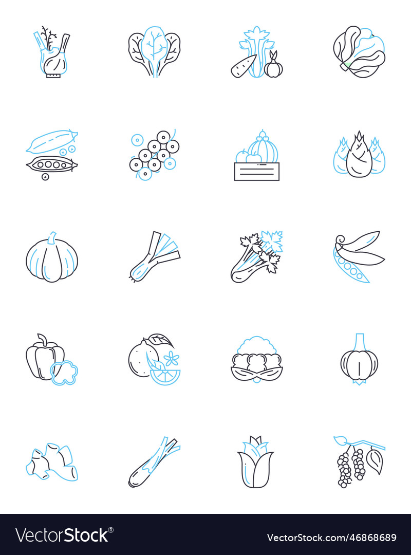 Balanced nutrition linear icons set health Vector Image
