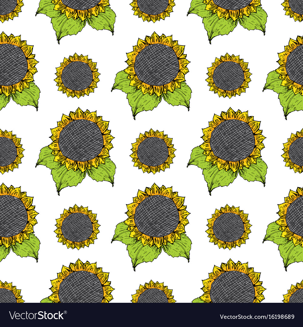 Sunflower seamless pattern hand drawn sketch Vector Image Sunflower seamless pattern hand drawn sketch Vector Image