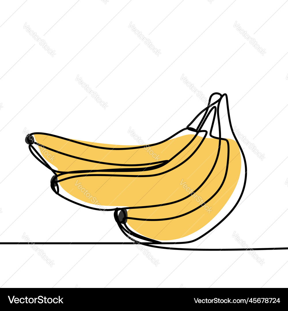 Banana continuous line art drawing minimalist Vector Image