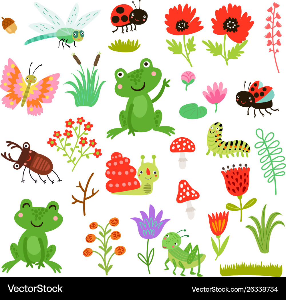 Frogs insects and flowers set Royalty Free Vector Image