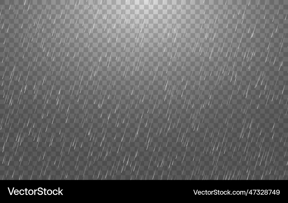 Rain on transparent background falling water Vector Image