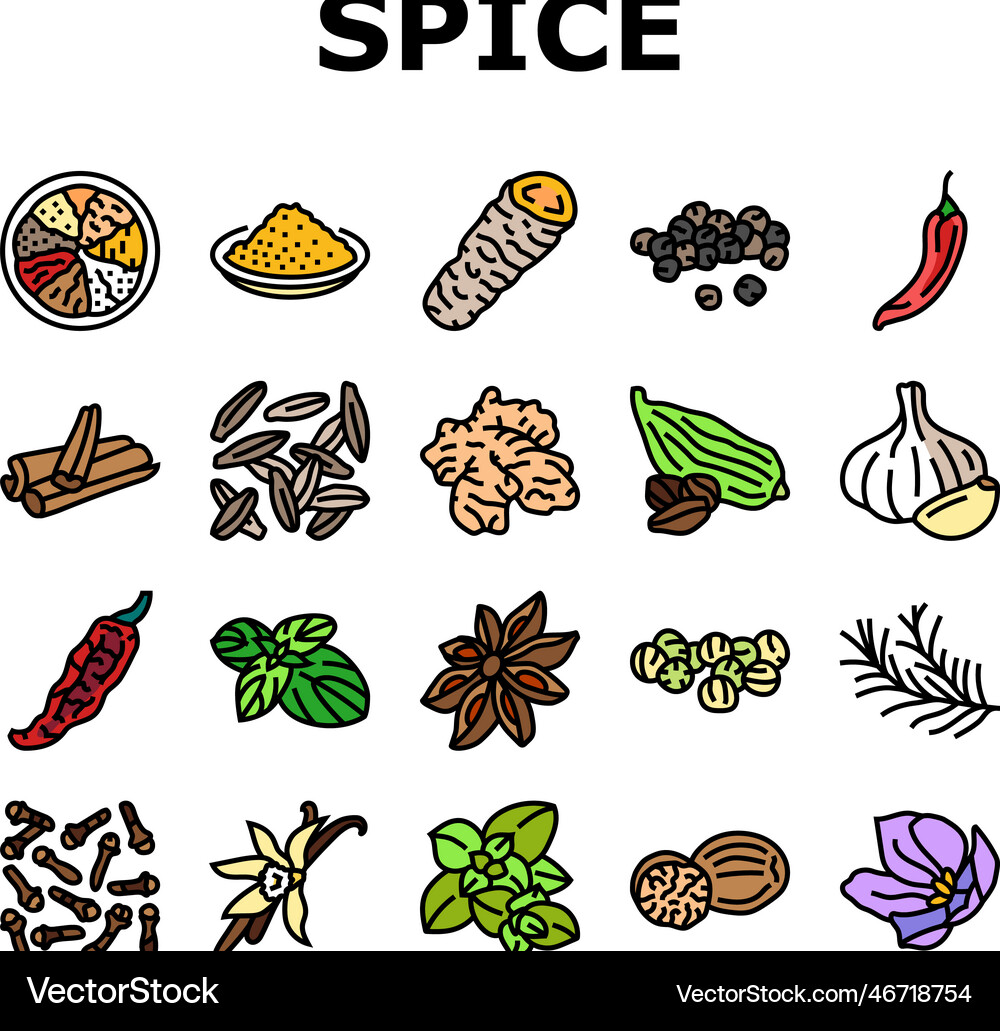 Spice food herb leaf icons set Royalty Free Vector Image