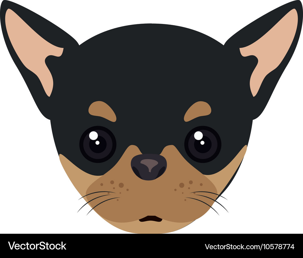 Pinscher dog cartoon Royalty Free Vector Image