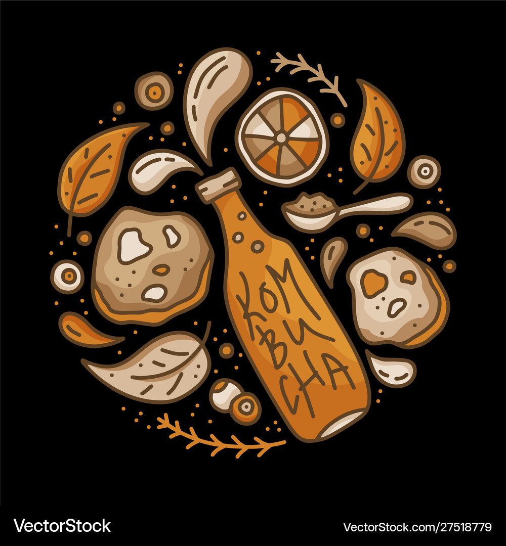 Kombucha doodle Royalty Free Vector Image - VectorStock
