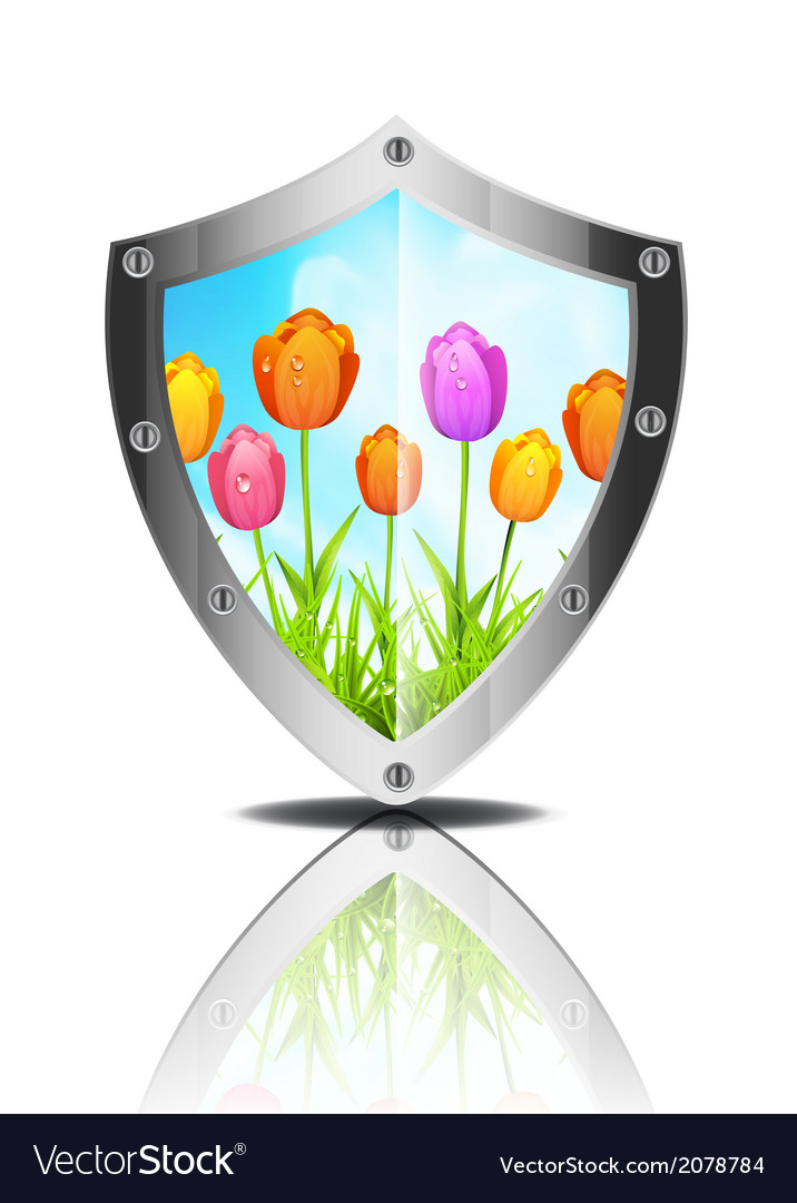 Shield Royalty Free Vector Image - VectorStock