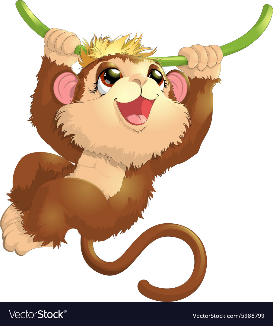 Monkey Royalty Free Vector Image - VectorStock