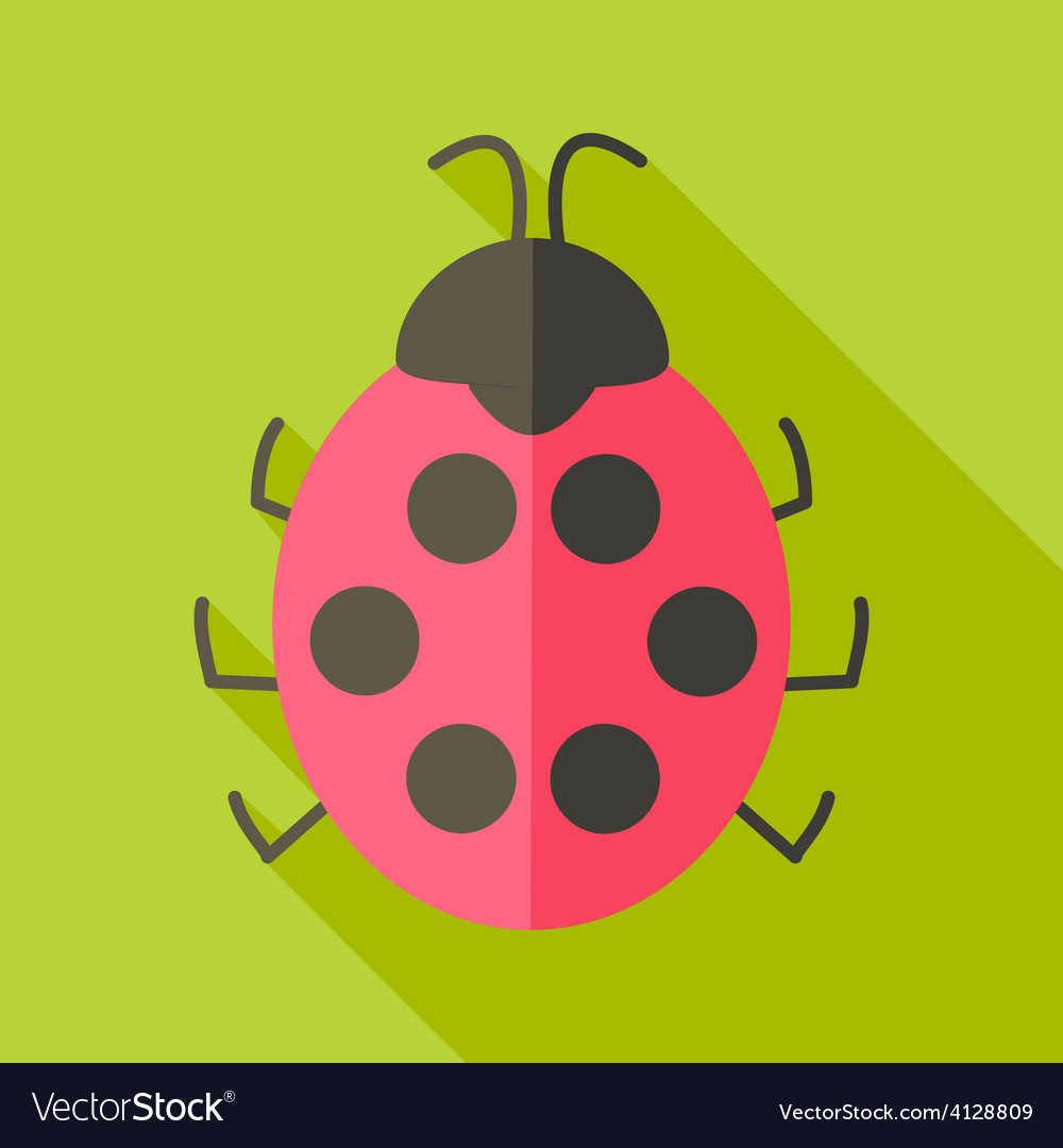 Ladybug insect Royalty Free Vector Image - VectorStock