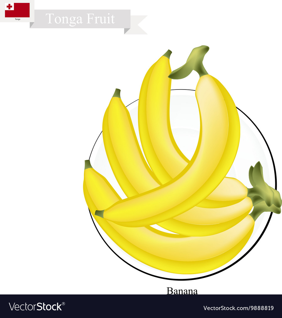 Fresh Banana A Famous Fruit In Tonga Royalty Free Vector