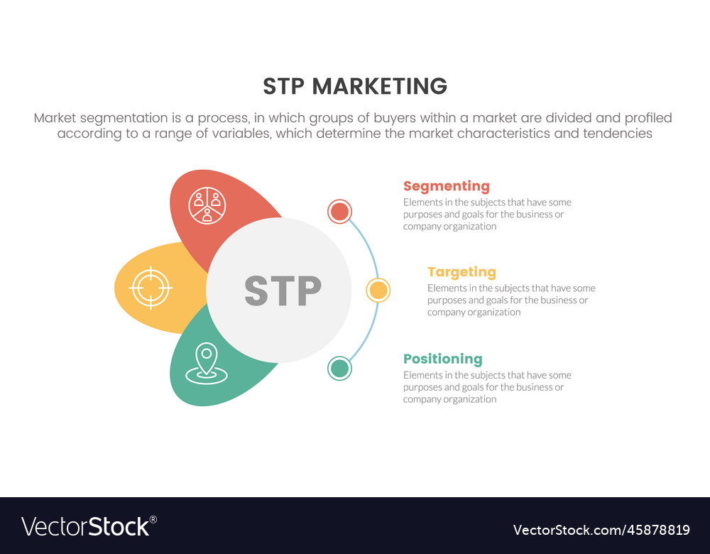 Stp marketing strategy model for segmentation Vector Image Stp marketing strategy model for segmentation Vector Image