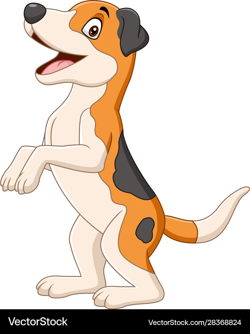 Cartoon Dog Standing Up Cartoon Dog Standing Stock Illustrations