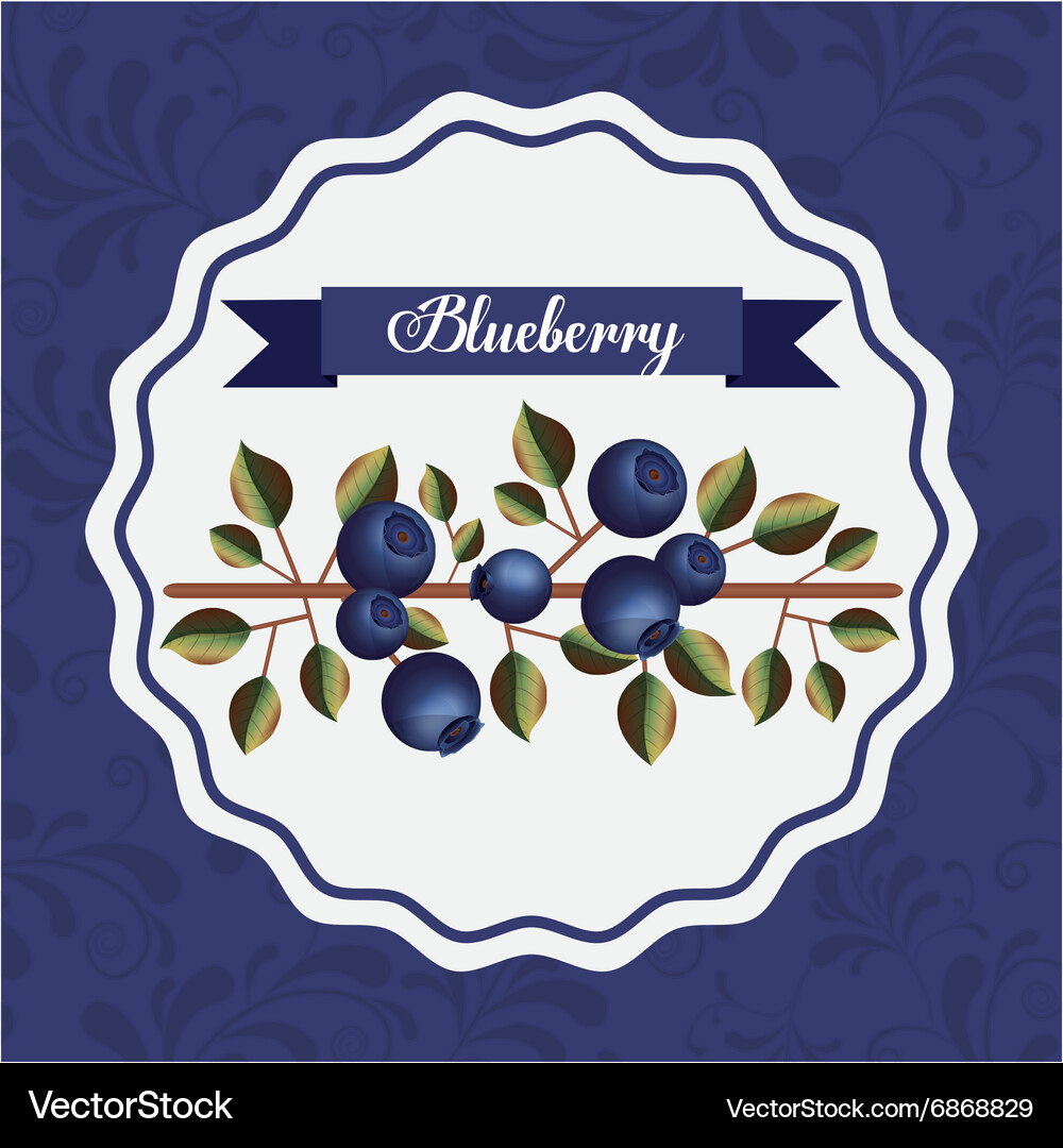 Delicious blueberry design Royalty Free Vector Image
