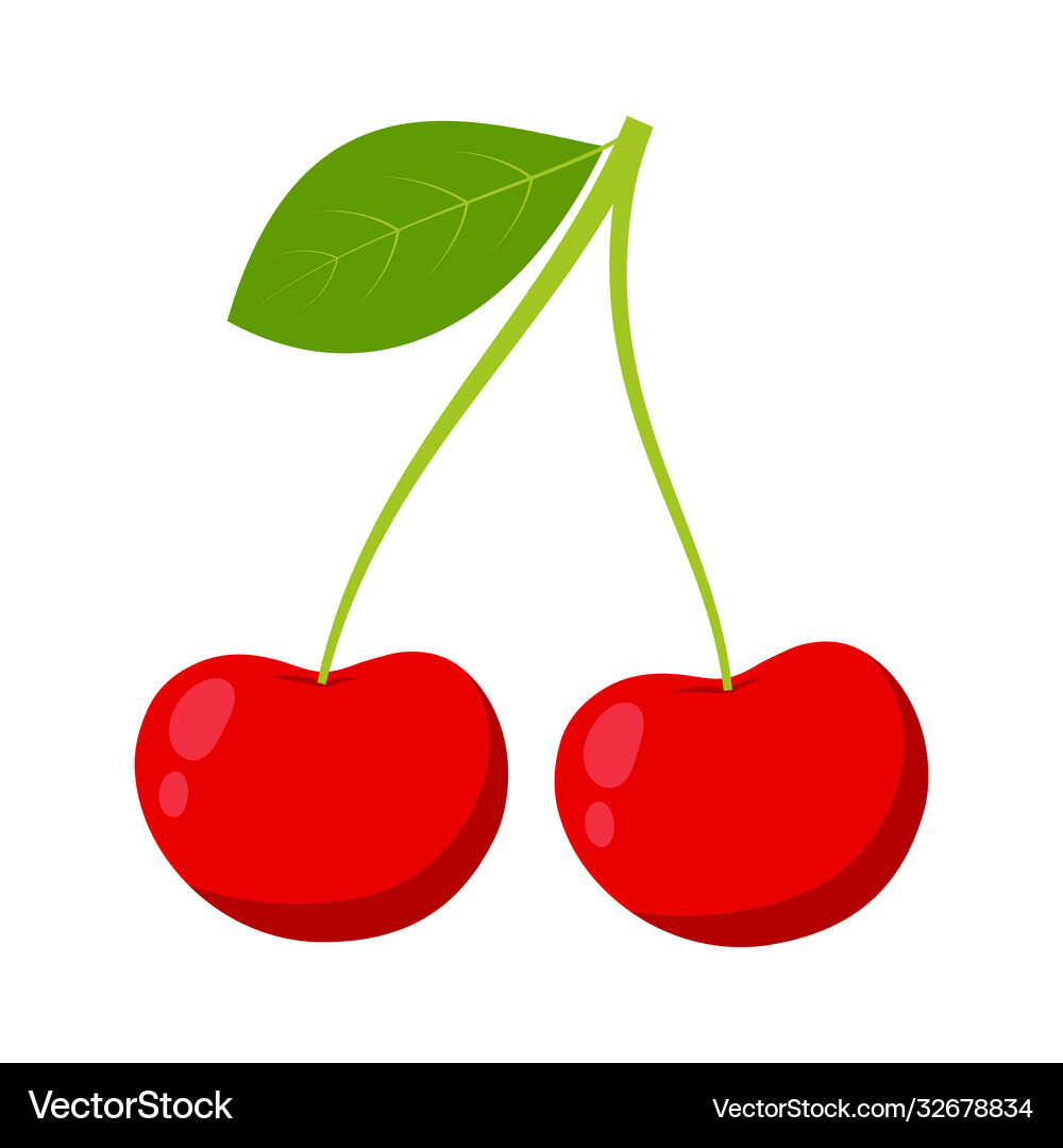 Fresh cartoon cherries isolated on white Vector Image