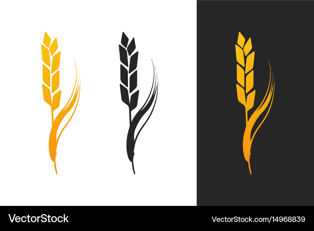 Ears of wheat isolated Royalty Free Vector Image
