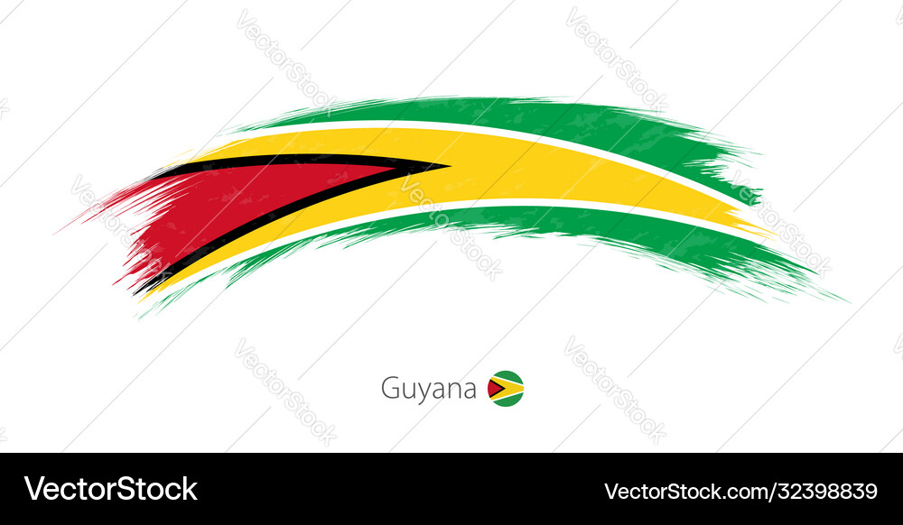 Flag guyana in rounded grunge brush stroke Vector Image