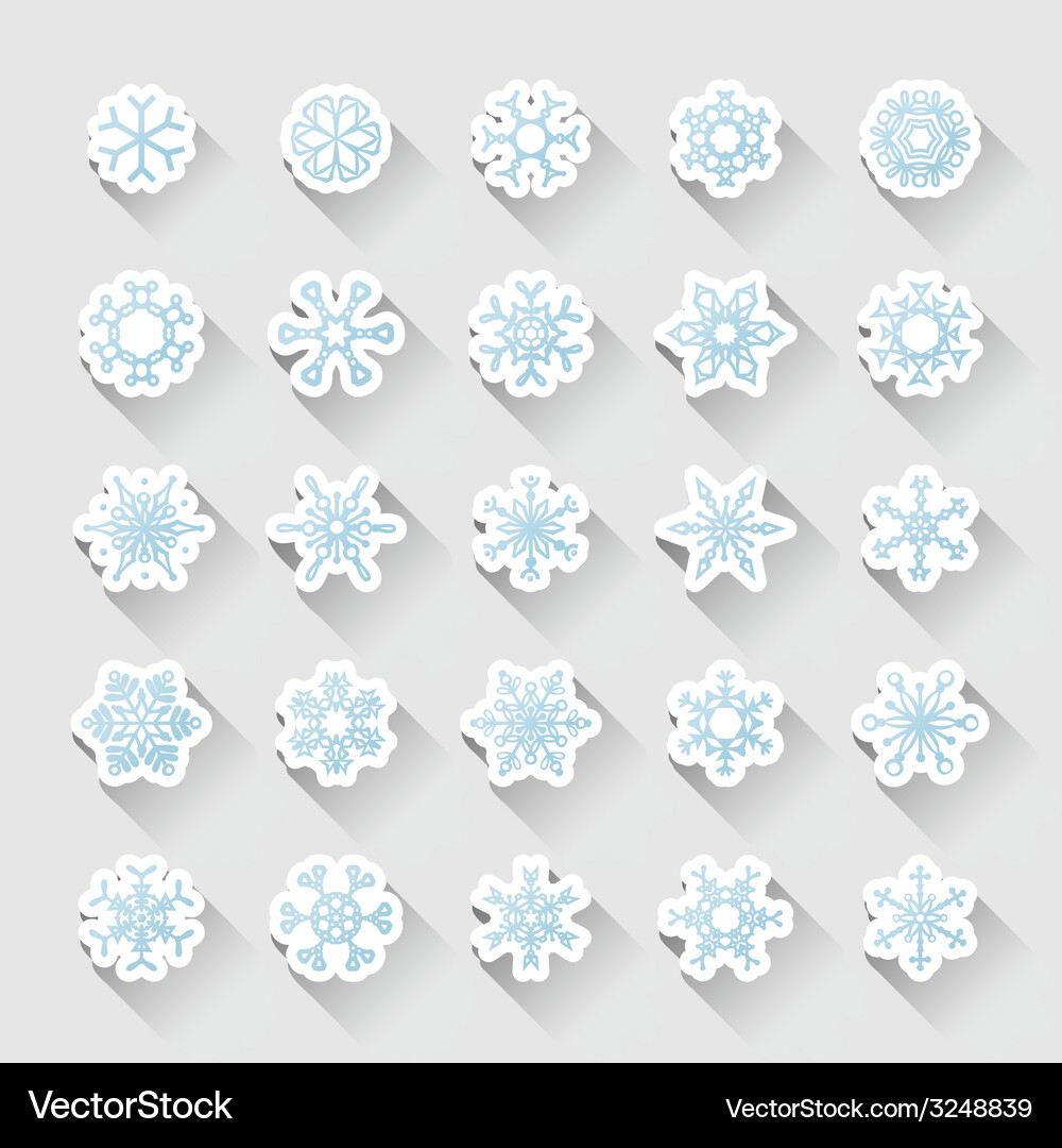 Set of paper snowflakes Royalty Free Vector Image