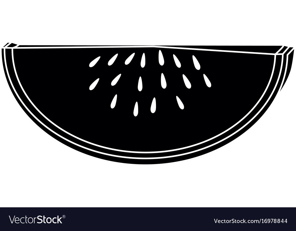 Melon delicious fruit Royalty Free Vector Image