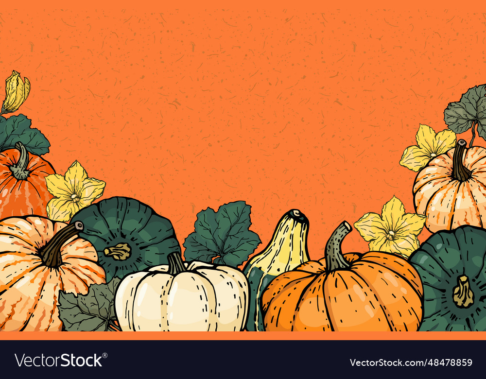 Pumpkins background Royalty Free Vector Image - VectorStock
