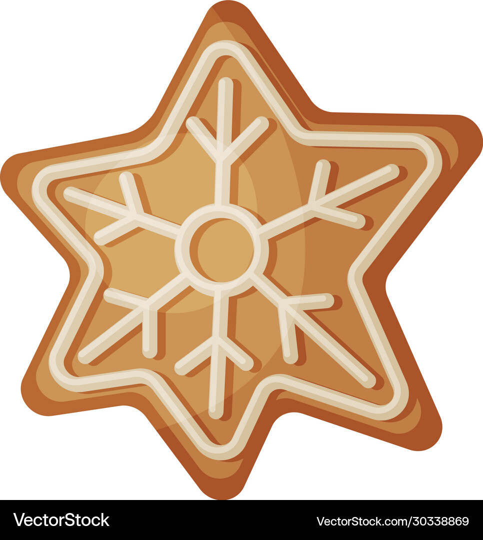 Star shaped gingerbread cookie traditional Vector Image