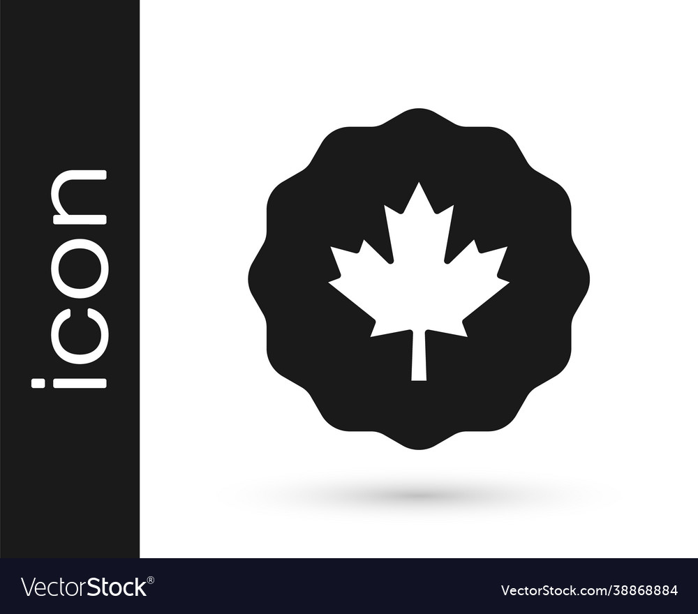 Black canadian maple leaf icon isolated on white Vector Image
