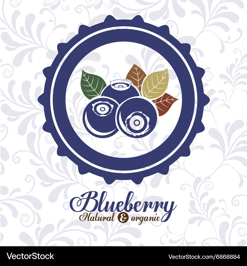 Delicious blueberry design Royalty Free Vector Image