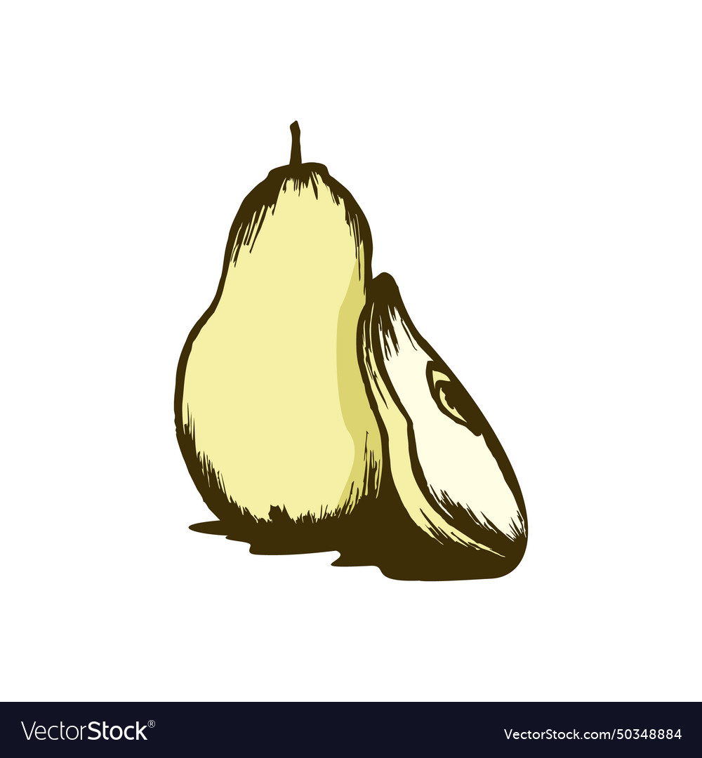Pear fruit Royalty Free Vector Image - VectorStock