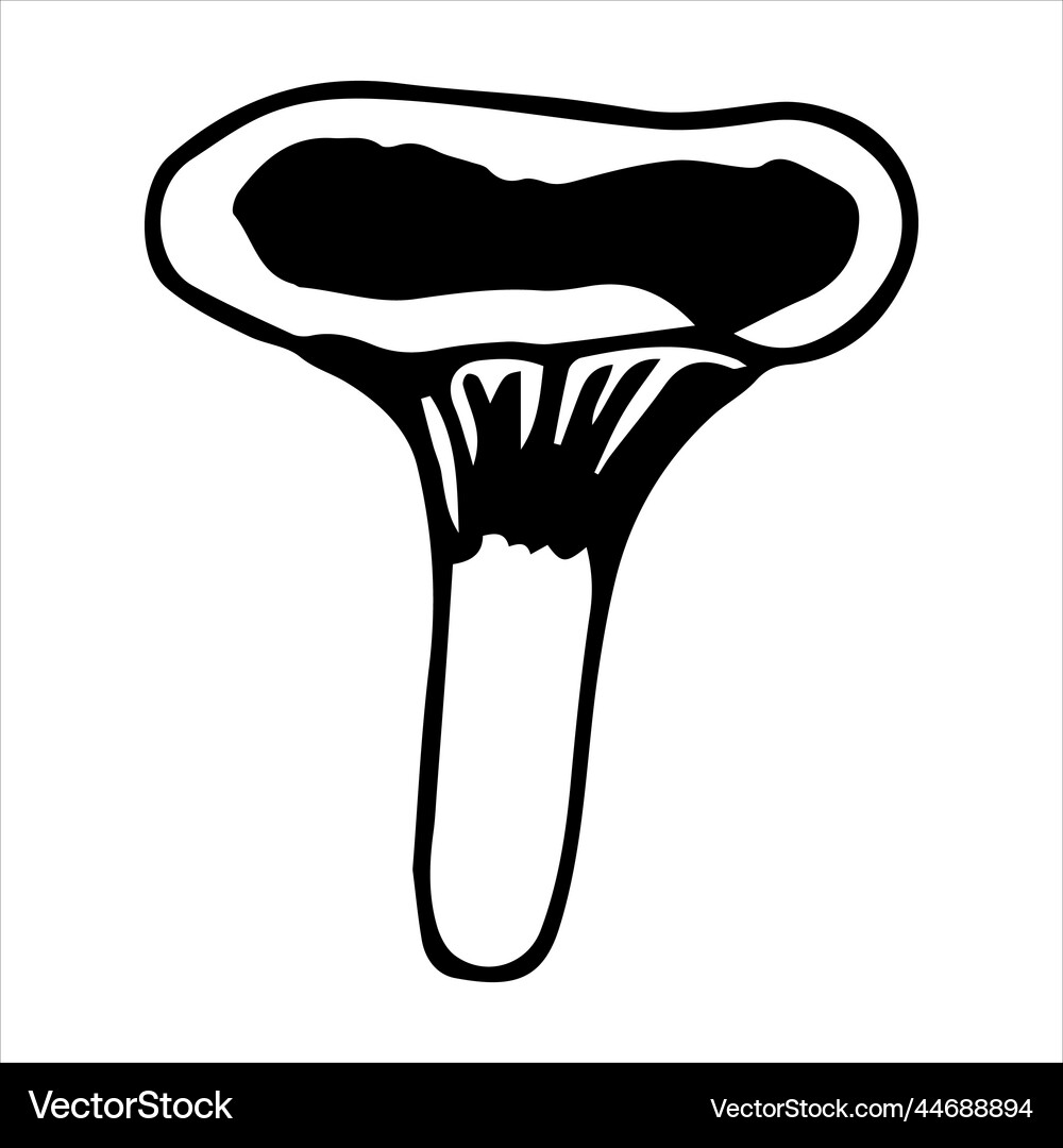 A single element mushroom white background Vector Image